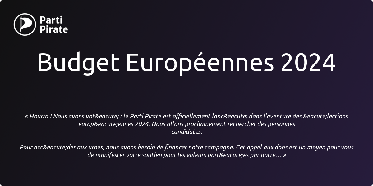 Parti Pirate - Budget Européennes 2024
